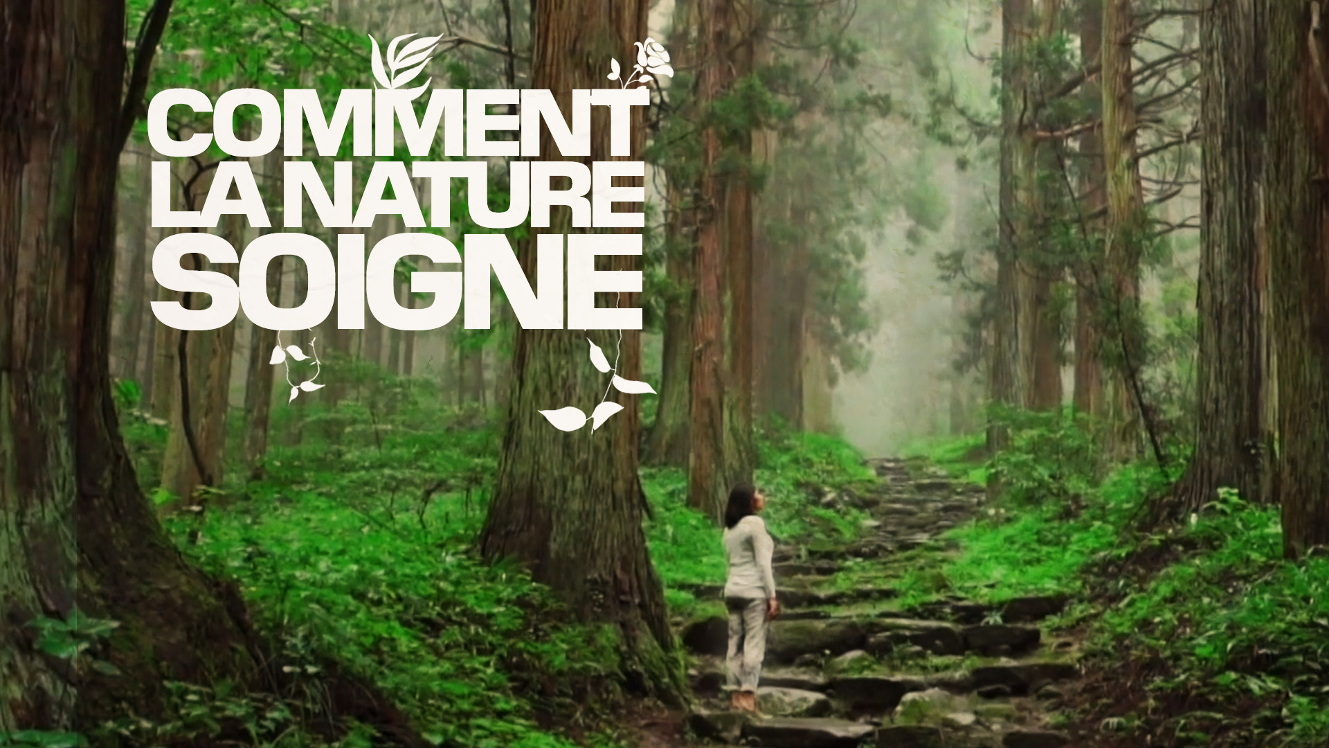 Replay Comment la nature soigne : retrouvez les émissions de ce programme sur RMC BFM PLAY