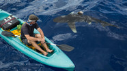 Replay S9E6 Les Tueurs Des Abysses Partie 1 Voir L int gralit De