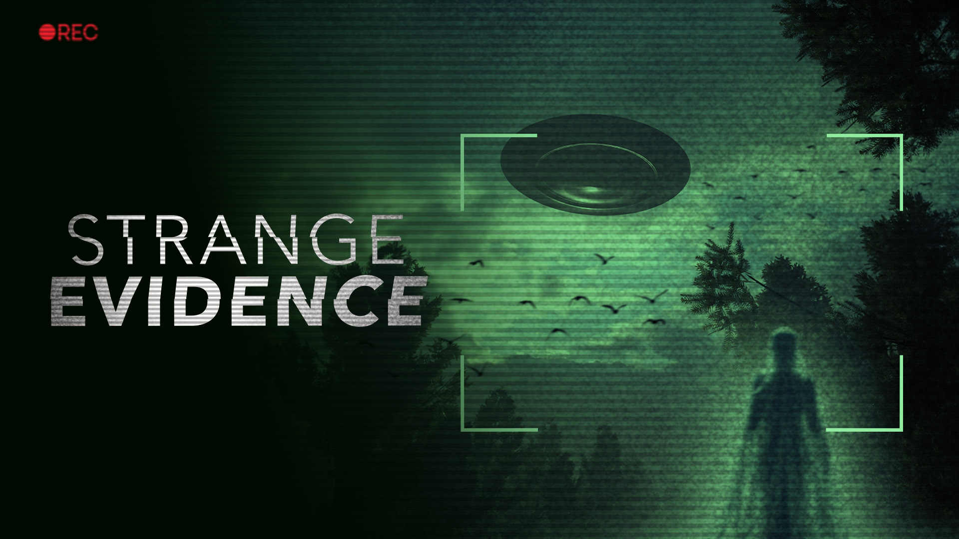 Replay Strange evidence S1 : retrouvez les émissions de ce programme ...