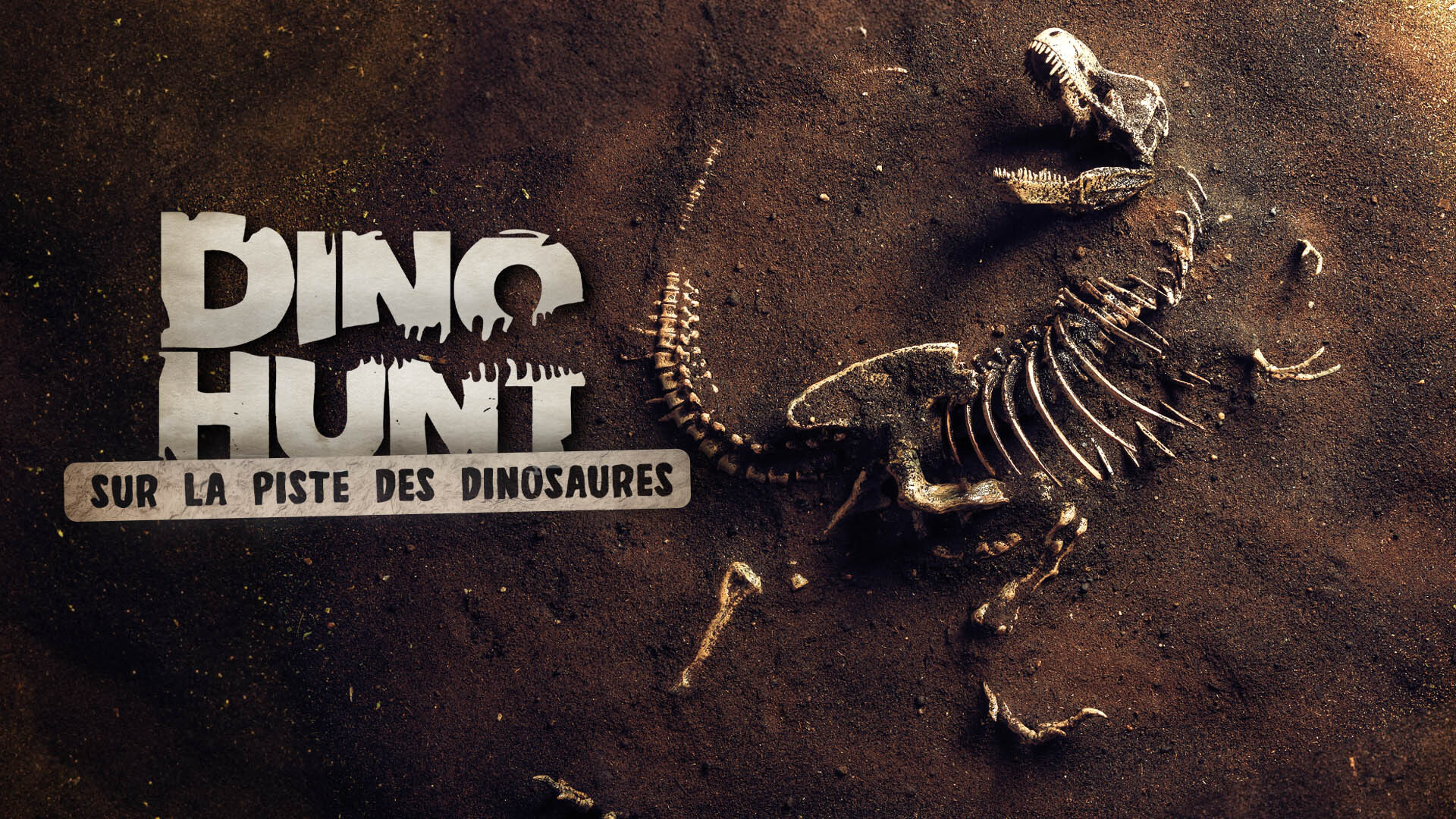 Replay Dino hunt : Sur la piste des dinosaures : retrouvez les ...