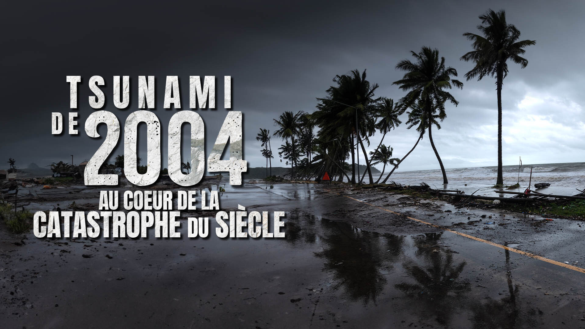Replay Tsunami de 2004 : au coeur de la catastrophe du siècle ...