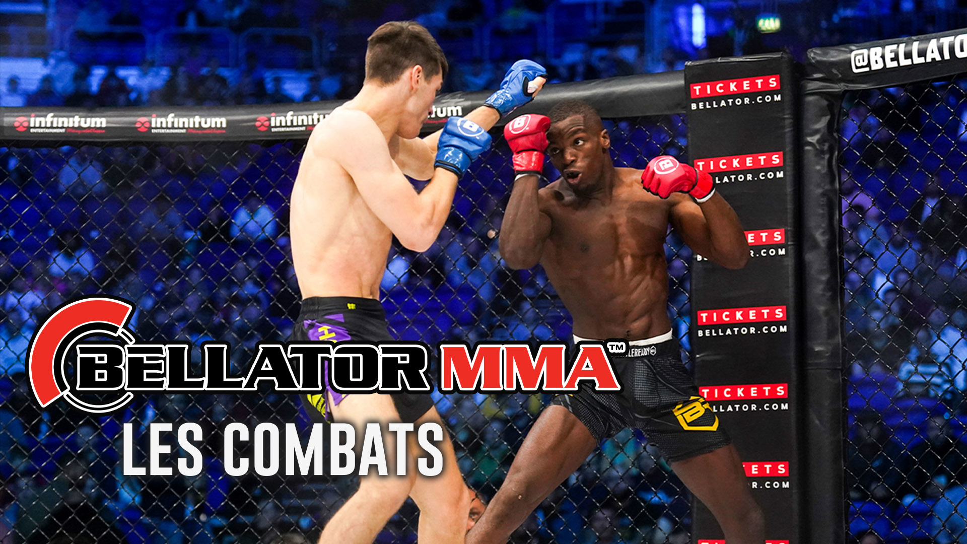 Replay Bellator Les combats : retrouvez les émissions de ce programme ...