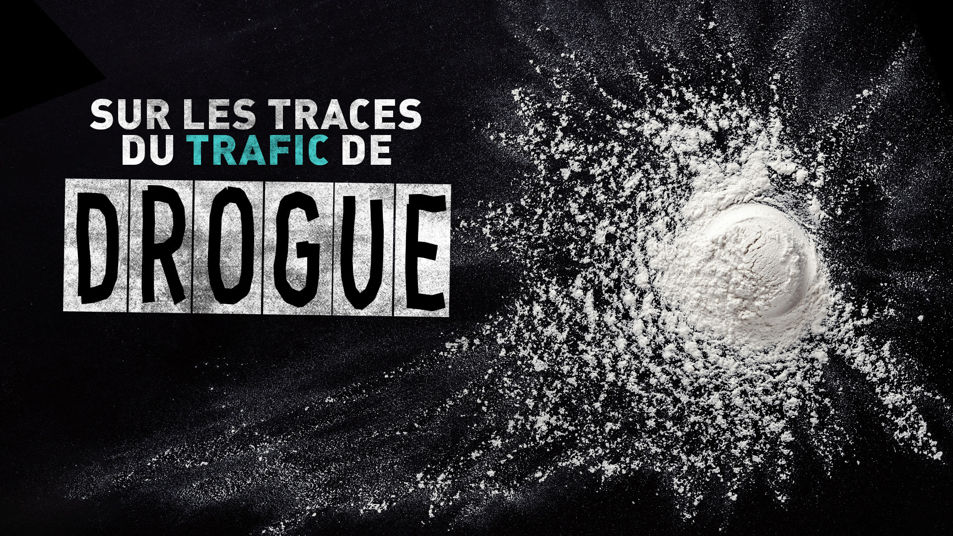 Replay Sur les traces du trafic de drogue : retrouvez les émissions de ...