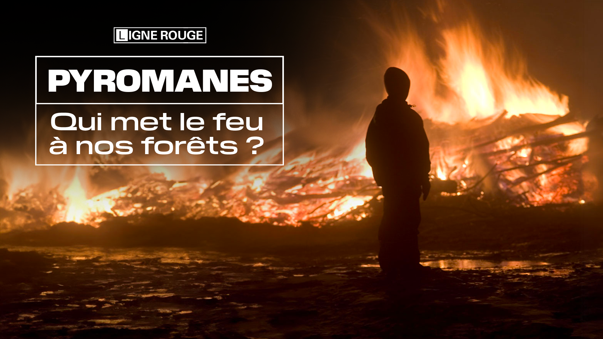 Replay Pyromanes, qui met le feu à nos fôrets ? : voir l'intégralité de ...